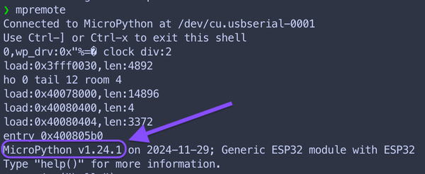 How to install MicroPython on ESP32